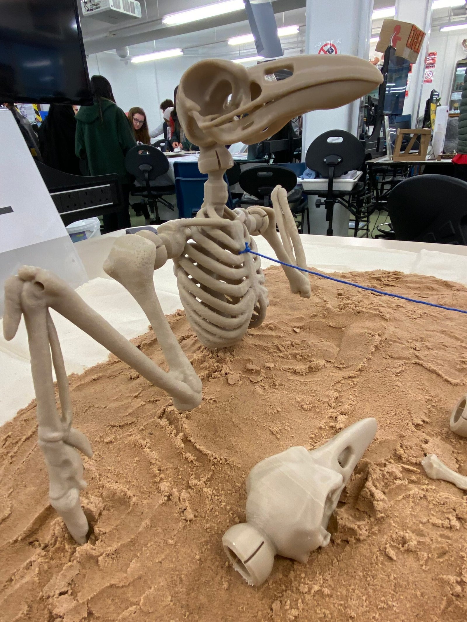 Anatomy of an Egyptian god - KCL Synthetic Anatomy